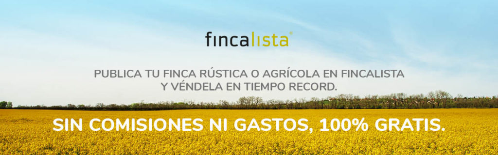 Tipos de fincas y diferencias entre ellas | Fincalista