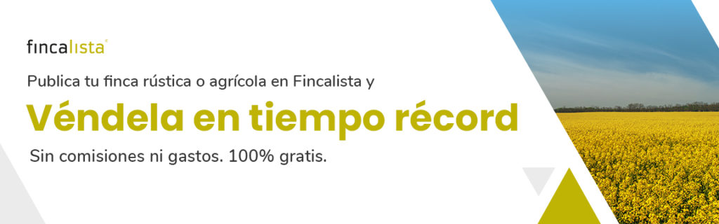 Tipos de fincas y diferencias entre ellas | Fincalista